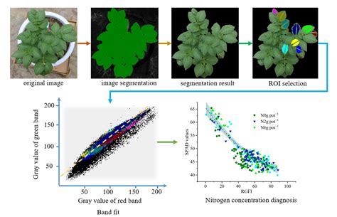 Remote Sensing Free Full Text A New Approach For Nitrogen Status Monitoring In Potato Plants