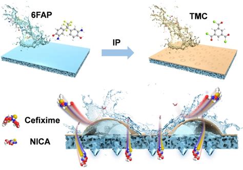 Fabrication Of Coffee‐ring Nanostructured Membranes For Organic Solvent