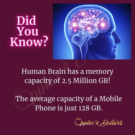 Human Memory Capacity