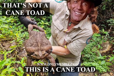 Thats Not A Cane Toad Only Memez