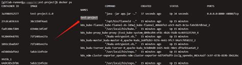 Gitlab Cicd 持续集成部署 Springboot 项目gitlab集成 Csdn博客