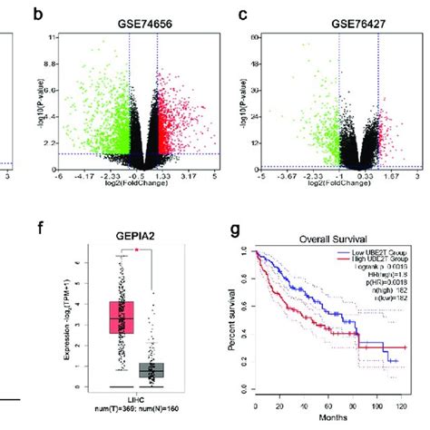 Identification Of Degs Based On Bioinformatics Analysis A C Volcano