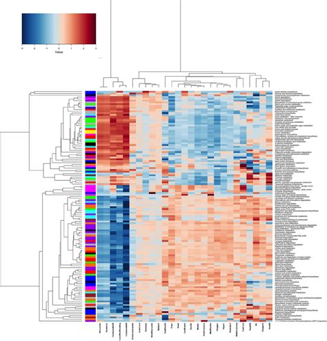 Average Linkage Clustering Based On The Spearman Correlation