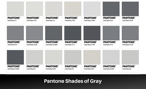 Pantone Cool Gray