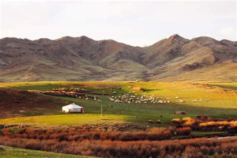 Нийслэл Хүү On Twitter Хаврын дунд сар Билгийн тооллын шинийн 6 ний Ѳглөөний мэнд 🌞 Өдрийг