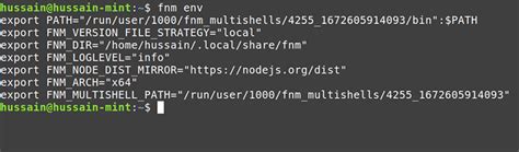 Getting Started With Fnm A Rust Built Nodejs Version Manager