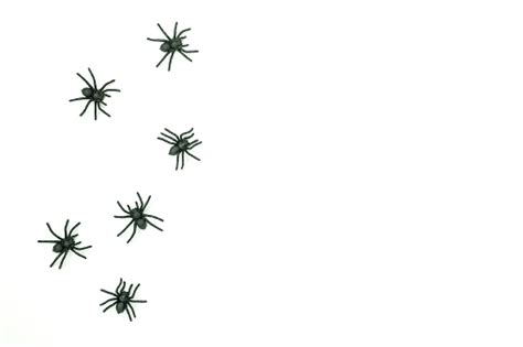 장식 해피 할로윈 날 배경 개념의 테이블 상단보기 항공 이미지입니다 흰색 나무에 거미를 배치 하는 플랫 레이 액세서리 필수 개체입니다 창의적인 디자인 텍스트의 공간을