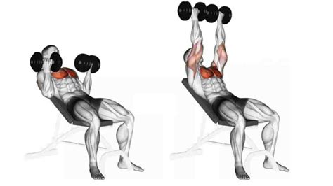 How To Do Incline Dumbbell Bench Press With Correctly
