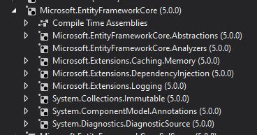 Scaffold An Index From An Existing Database Leads To An Ambiguous Reference Exception Issue