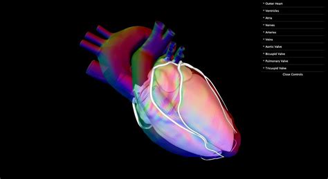 15 Webgl Medical Visualization Projects