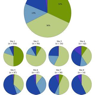 Distribution Of Fraction Of Inspired Oxygen FiO2 Ranges Overall And Download Scientific