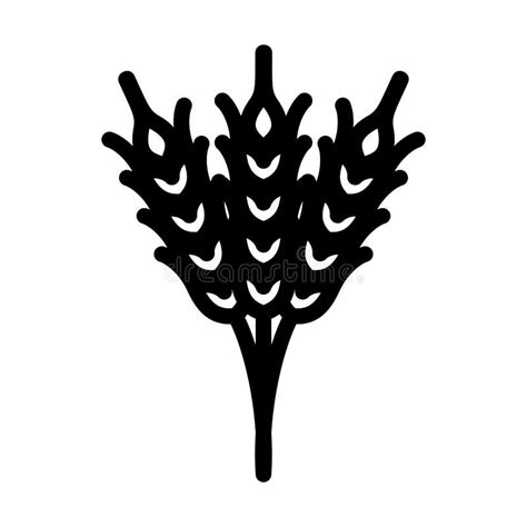 Wheat Icon Stock Vector Illustration Of Natural Realistic 221498969