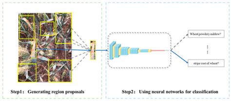 Advances In Deep Learning Applications For Plant Disease And Pest Detection A Review