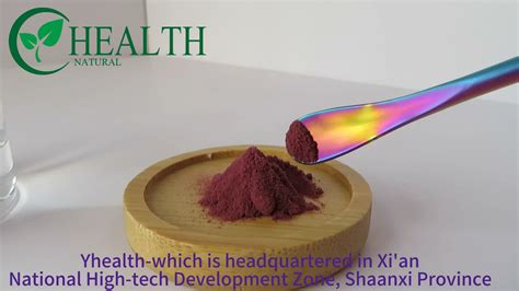 High Quality Astragalus Extract Polysaccharide Astragalus Root Extract