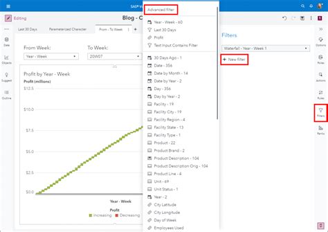 Using Common Filters In Sas Visual Analytics Proc