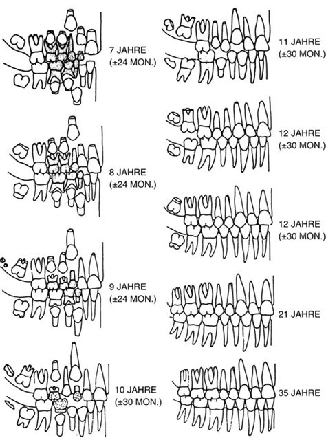 Age Estimation Pocket Dentistry