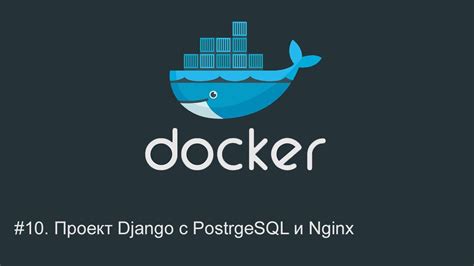 10 Проект Django с Postgresql и Nginx Docker для начинающих Youtube