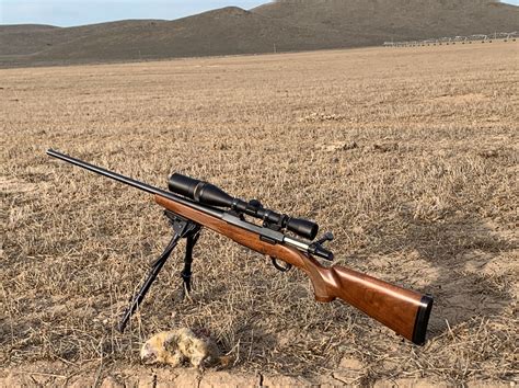 Reloading The 22 Hornet Outdoor Life