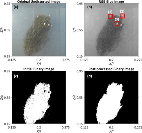 Stages In The Workflow Developed To Automatically Generate A Binary Download Scientific Diagram