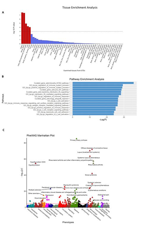 Shared Genetic Susceptibility Between Systemic Sclerosis And Primary Biliary Cholangitis