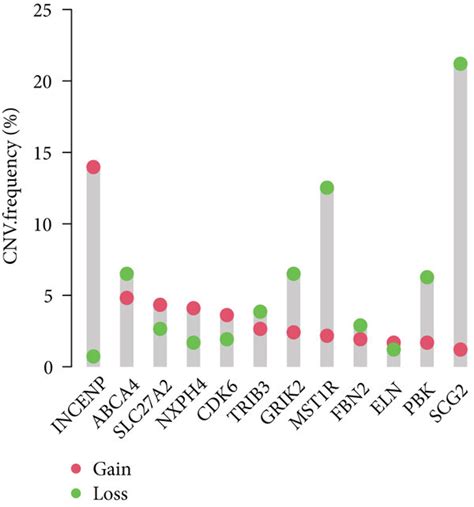 Prognostic Value Of The Risk Model Based On The 12 Prognostic Genes In
