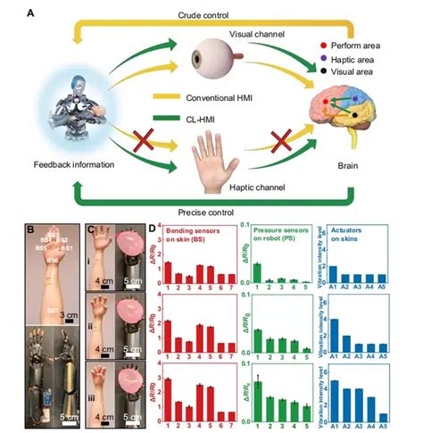电子皮肤作为人机交互界面的机器人vr，真实再现触觉感知，助力元宇宙现实落地 知乎