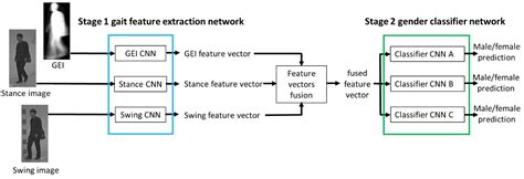 Gender Recognition Based On Gradual And Ensemble Learning From Multi View Gait Energy Images And