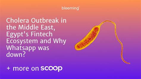 Cholera Outbreak Scoop