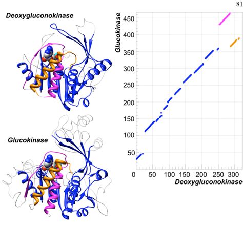 example of segment swap in non sequential alignment structures of
