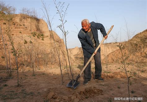 植树的老人如何画画一个简单的老人种树的老人简笔画图片第2页大山谷图库