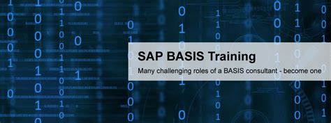 SAP BASIS Training Online InClass Course Module USA LearnSAP