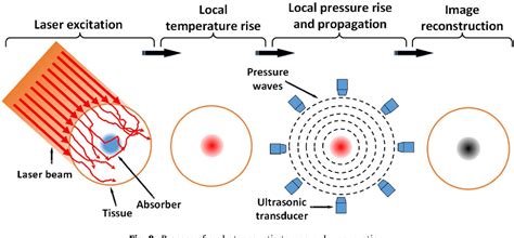 Figure 1 From Neonatal Brain Resting State Functional Connectivity Imaging Modalities Semantic