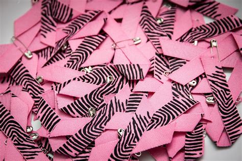 Roosa Nauha 2023 Tutustu Keräykseen