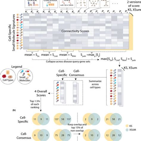 A Integrative Small Molecule Prioritization Pipeline For Cf Download Scientific Diagram