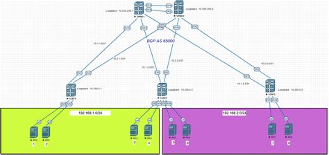 VXLAN BGP EVPN Lab Internal Connectivity Packet Too Big