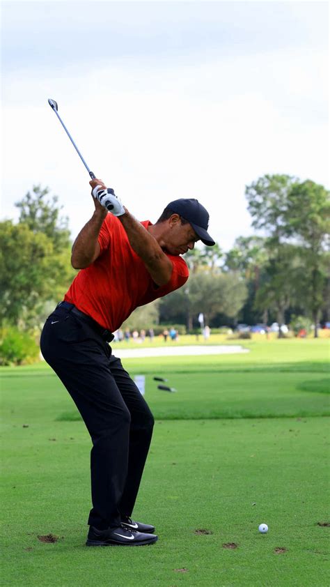 Fondo De Pantalla De Tiger Woods
