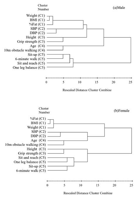 Dendrogram From Variable Clustering Of Physical Characteristics And