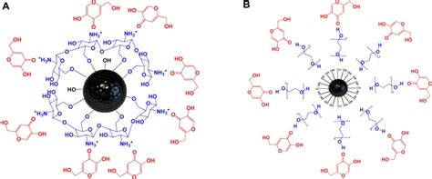 Schematic Representation Of The Interaction Between Ka Cs And Mnps In