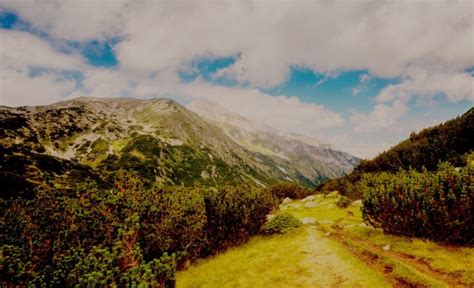 Blending Modes In After Effects Double Exposure Tutorial Motion Array