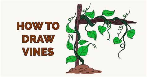 How To Draw Vines Really Easy Drawing Tutorial