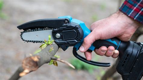 The Correct Way To Prune Trees With A Mini Chainsaw