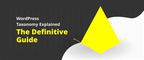 Wordpress Taxonomies And Terms Explained Creative Salahu