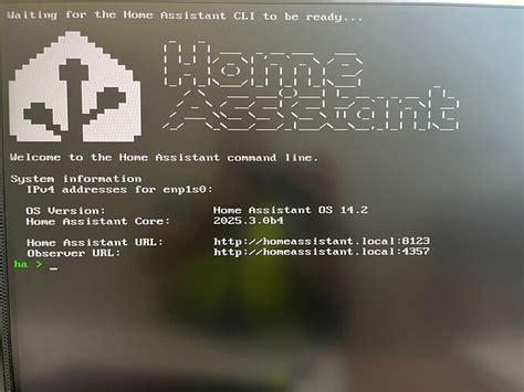 After Update Home Assistant Is No Longer Accessible Observer Supervisor Disconnected Home