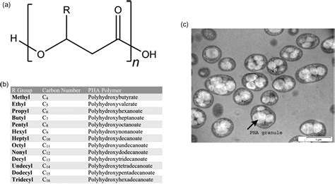 Applications Of Microbial Bioplastic Polyhydroxyalkanoates As Biosignatures For Astrobiological