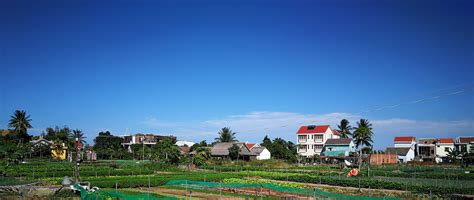 Build Projects Linkedin