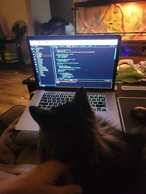 debugging r programmerhumor