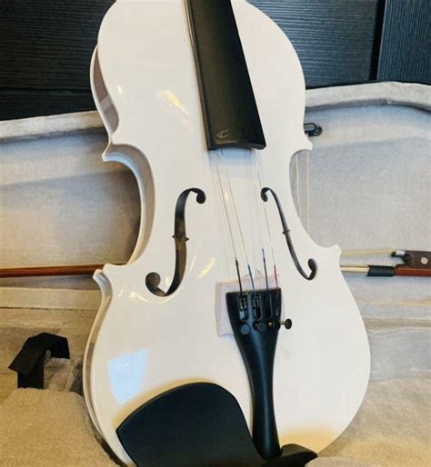 Скрипка 4/4 белая (комплект) – купить в Москве, цена 9 990 руб., дата ...