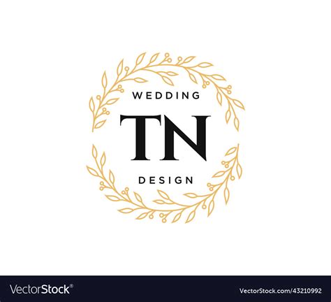 Tn Initials Letter Wedding Monogram Logos Vector Image