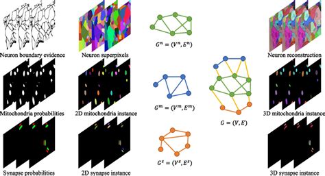 Overview Of The Proposed Method Most Current Reconstruction Pipelines Download Scientific