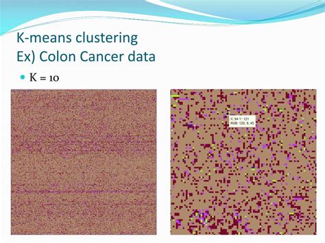 Ppt Bioinformatics Cluster Analysis Powerpoint Presentation Free